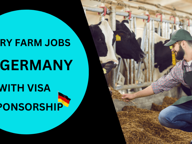 Barber Jobs For Foreigners in Germany with Visa Sponsorship in 2025 ...